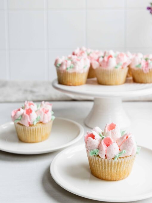 Chef Ani | Healthy Vegan & Plant-Based Recipes