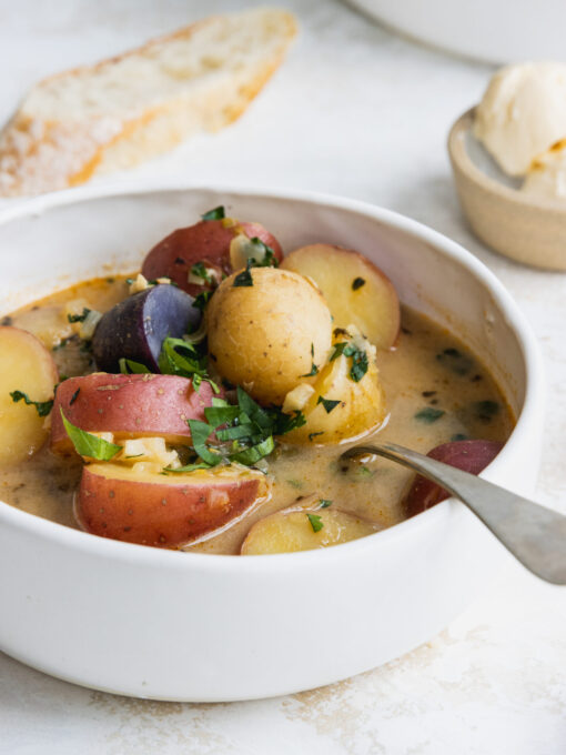 Chef Ani | Healthy Vegan & Plant-Based Recipes