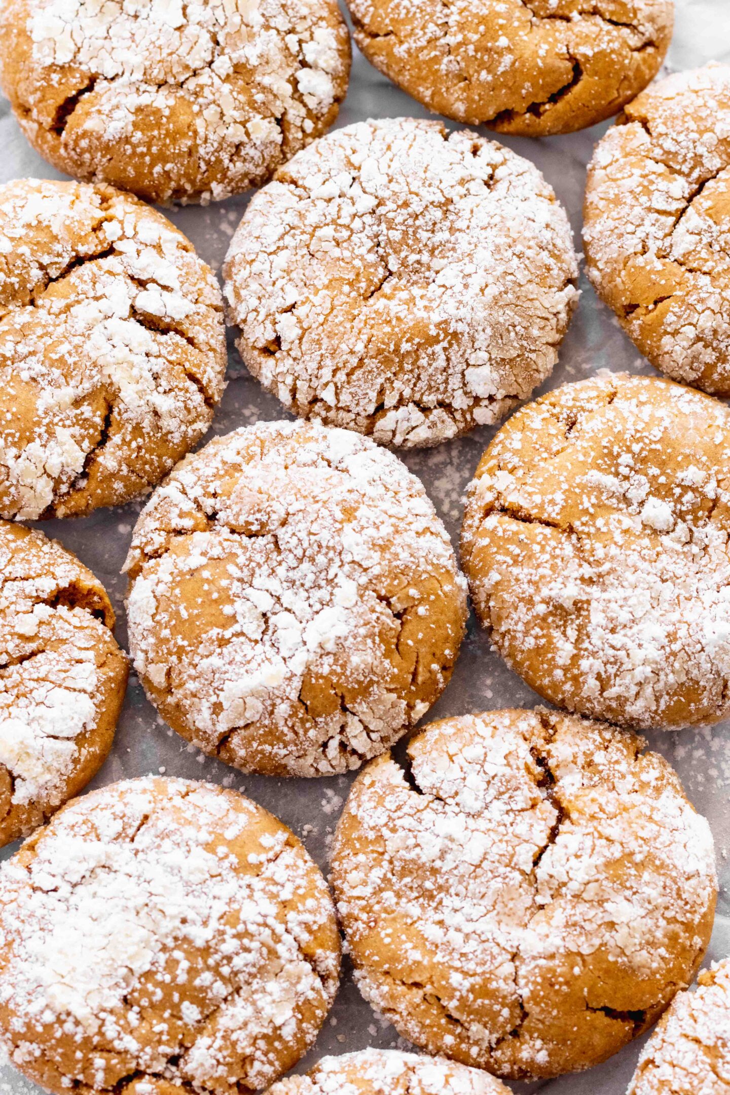 20 Vegan Christmas Cookies to Make This Year | Chef Ani