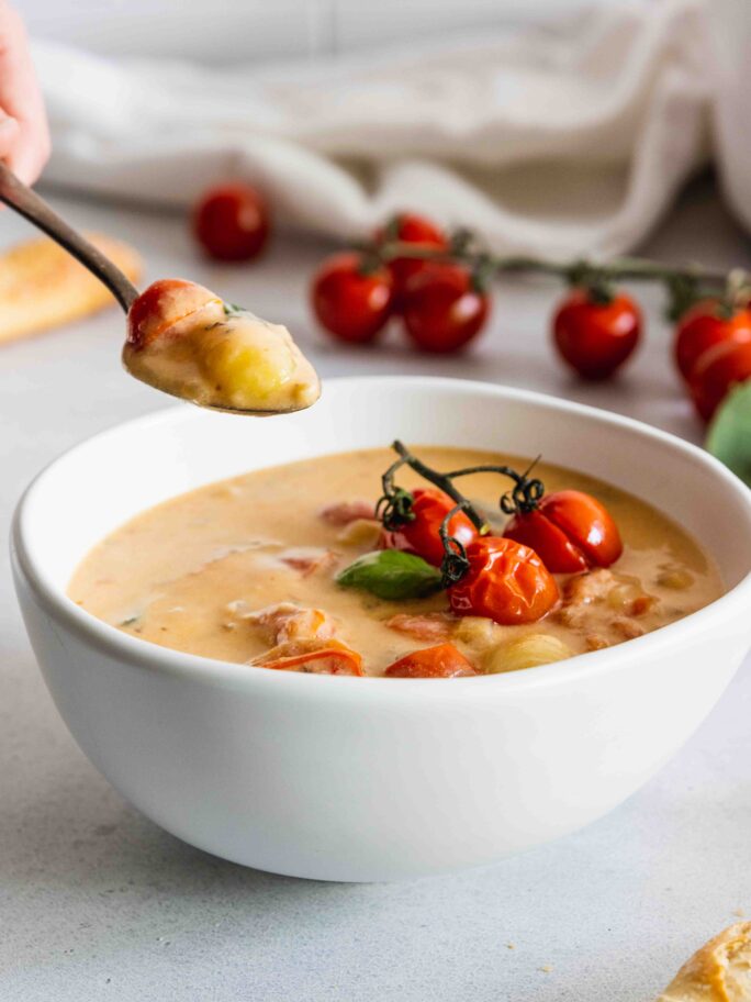 Chef Ani | Healthy Vegan & Plant-Based Recipes